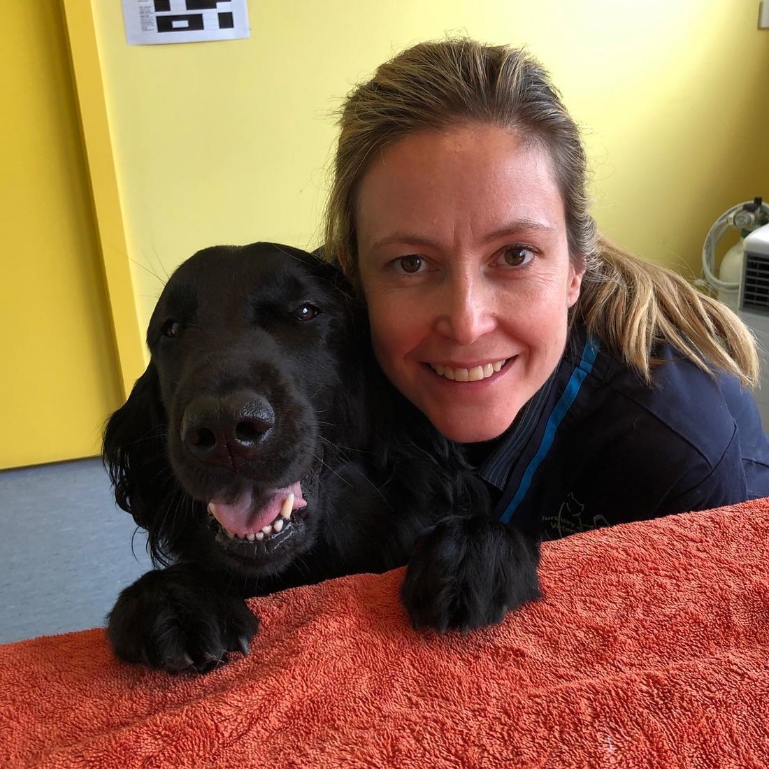 Meet Our Staff | Torquay and Surfcoast Veterinary Clinics
