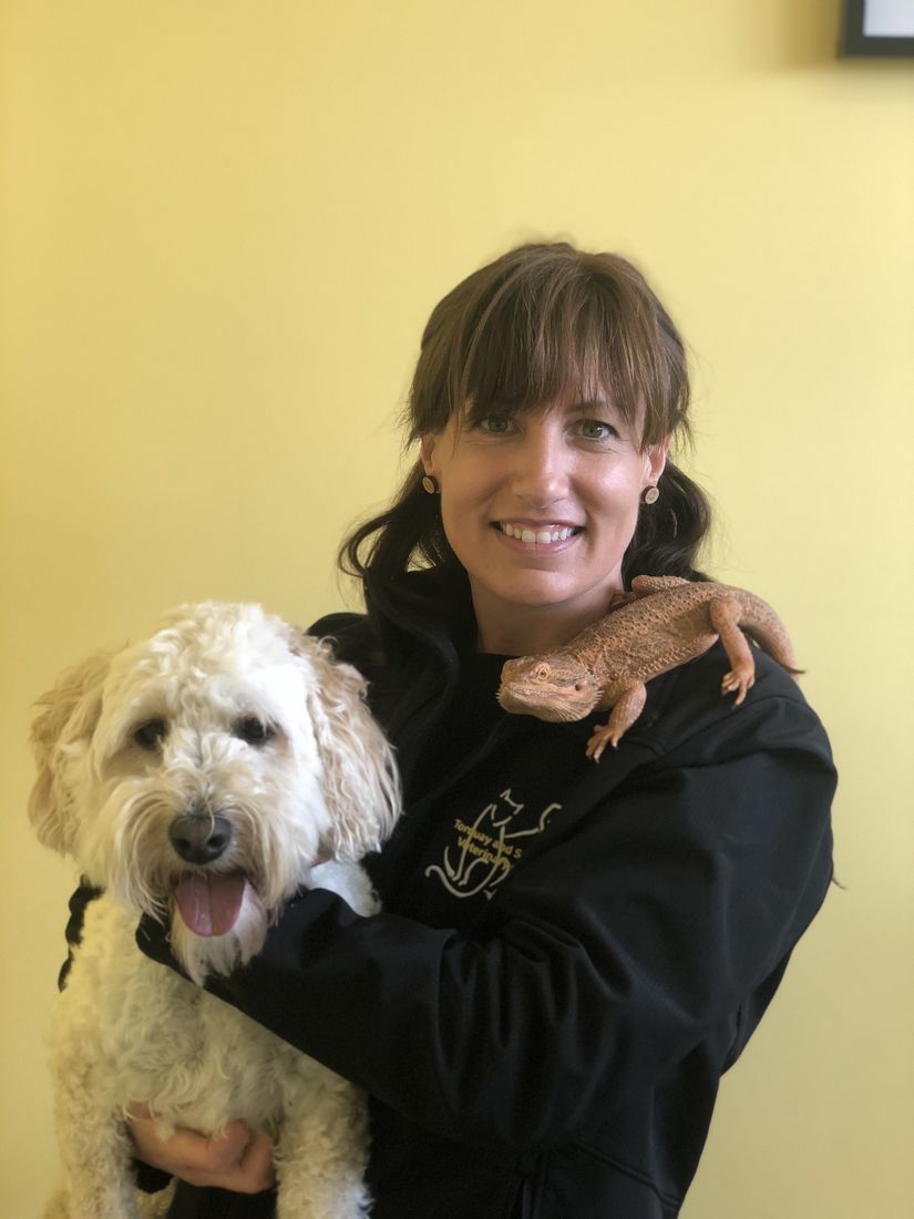 Meet Our Staff | Torquay and Surfcoast Veterinary Clinics